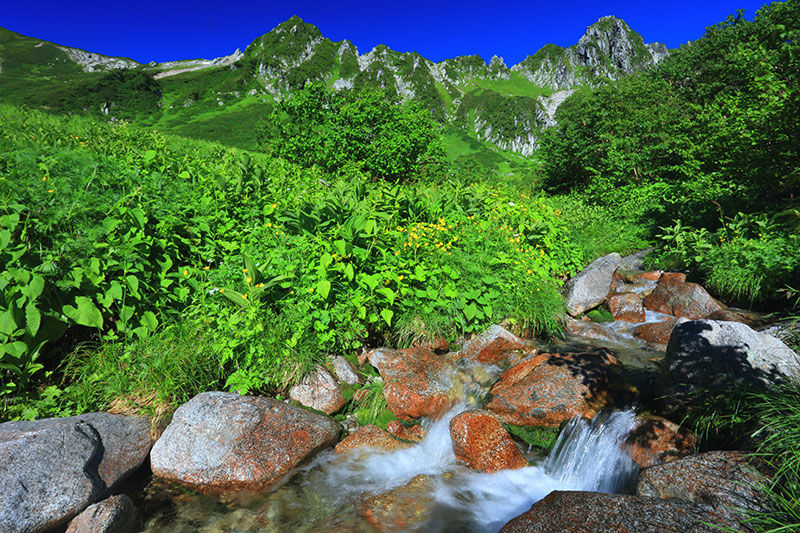 ギャラリー | 長野県 | 中央アルプス国定公園記念「中央アルプス山岳フォーラム」公式ホームページ