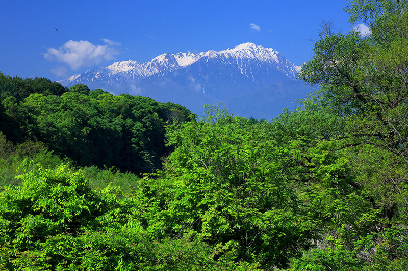 ギャラリー | 長野県 | 中央アルプス国定公園記念「中央アルプス山岳フォーラム」公式ホームページ