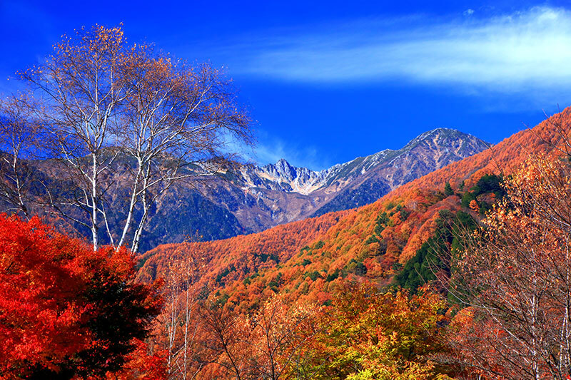 ギャラリー | 長野県 | 中央アルプス国定公園記念「中央アルプス山岳フォーラム」公式ホームページ