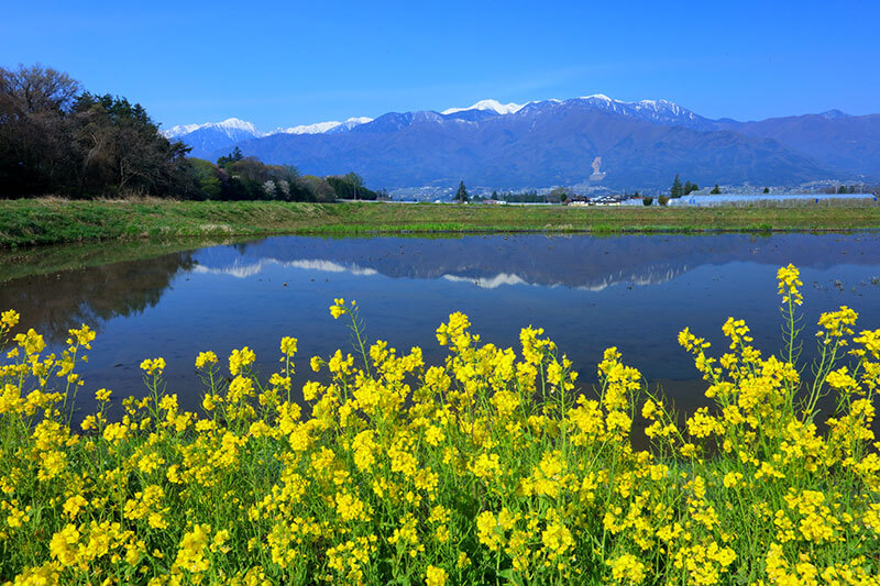 ギャラリー | 長野県 | 中央アルプス国定公園記念「中央アルプス山岳フォーラム」公式ホームページ
