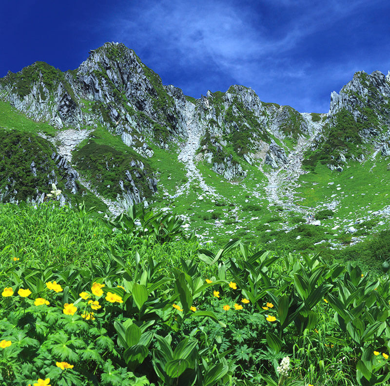 ギャラリー | 長野県 | 中央アルプス国定公園記念「中央アルプス山岳フォーラム」公式ホームページ