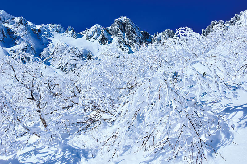 ギャラリー | 長野県 | 中央アルプス国定公園記念「中央アルプス山岳フォーラム」公式ホームページ